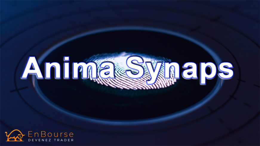Comment Anima Synaps va simplifier vos verifications KYC