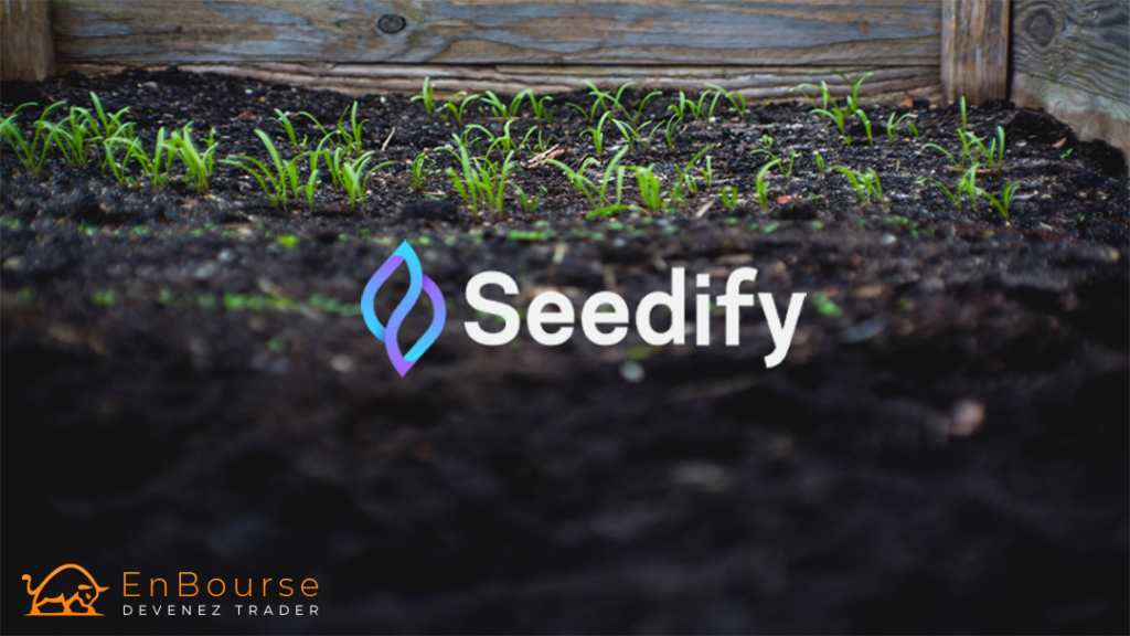Seedify avis : futur leader de la GameFi