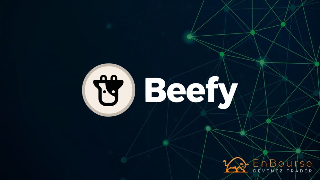 Avis Beefy Finance : la plateforme stacking crypto