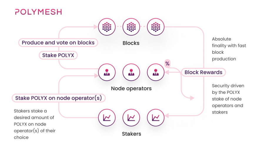 POLYX : le prochain gros coup crypto sur les Real-World Assets