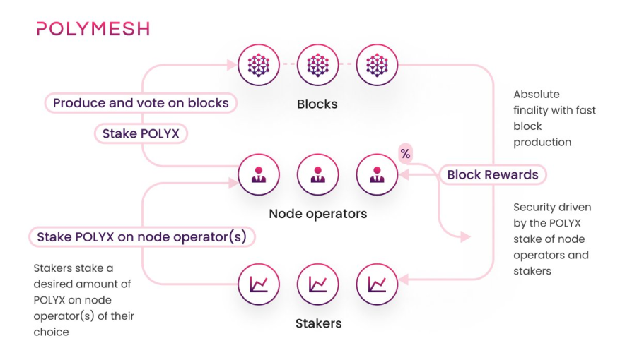 POLYX : le prochain gros coup crypto sur les Real-World Assets