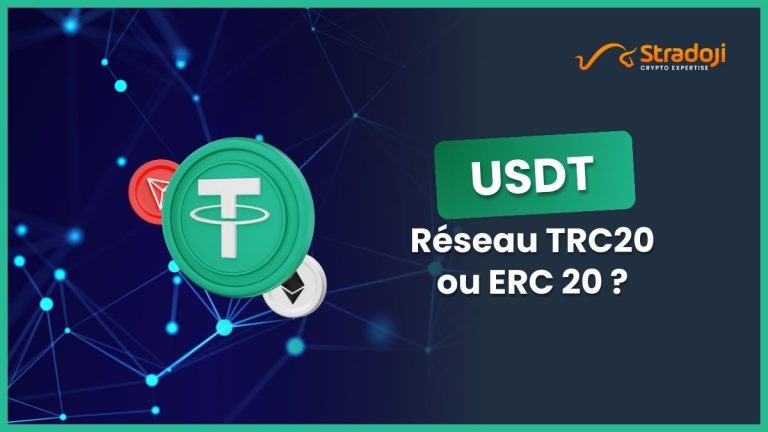 TRC20 vs ERC20 : quel réseau choisir pour vos transferts d'USDT